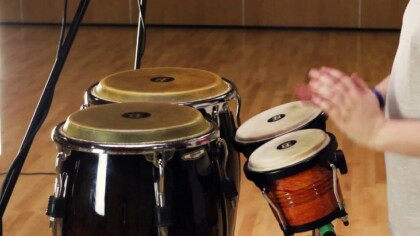 Conga vs. Bongo - Differences and Interesting Facts