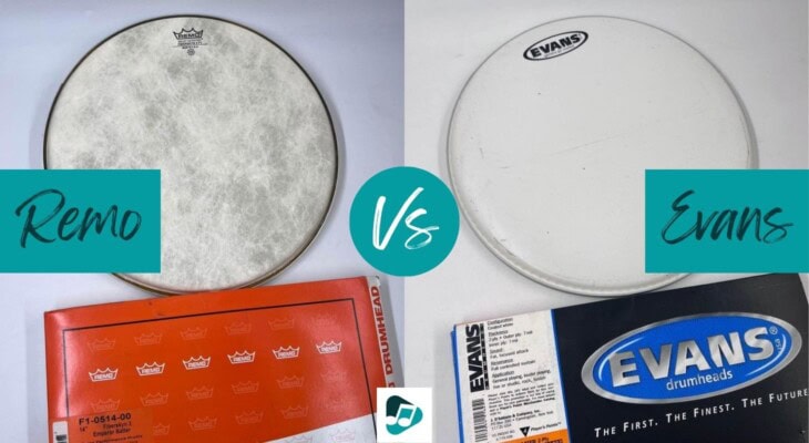 Remo vs Evans – Whose Drum Heads Will Suit You Better?